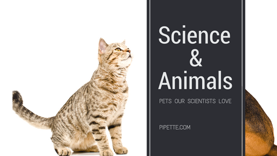 Science & Animals